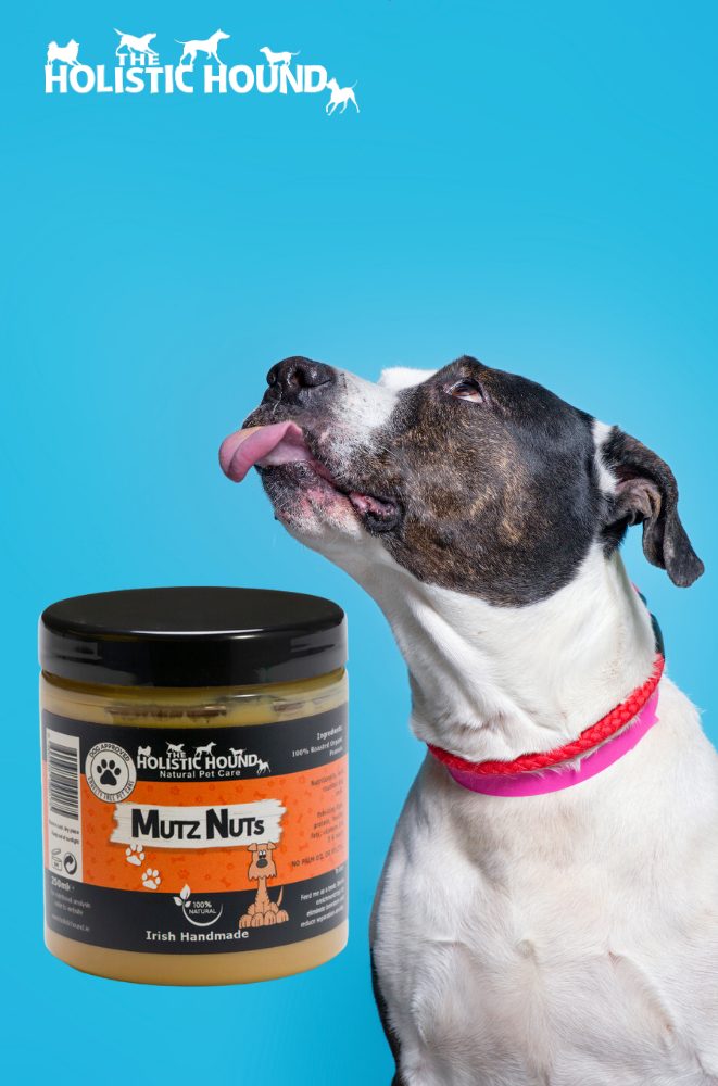 The Mutz Nuts | barkinBISTRO