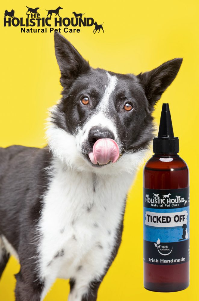 Holistic Hounds Ticked Off | barkinBISTRO