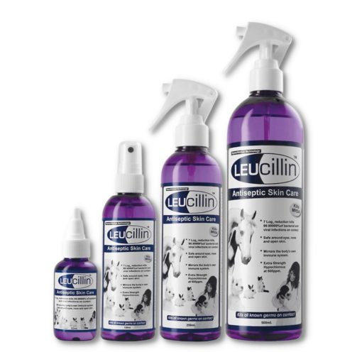Leucillin Natural Antiseptic Spray | barkinBISTRO